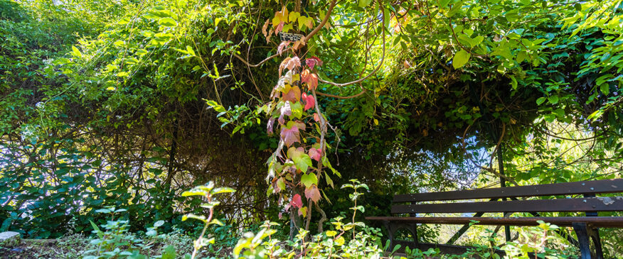 Jardin Botanique - Ville de Nice